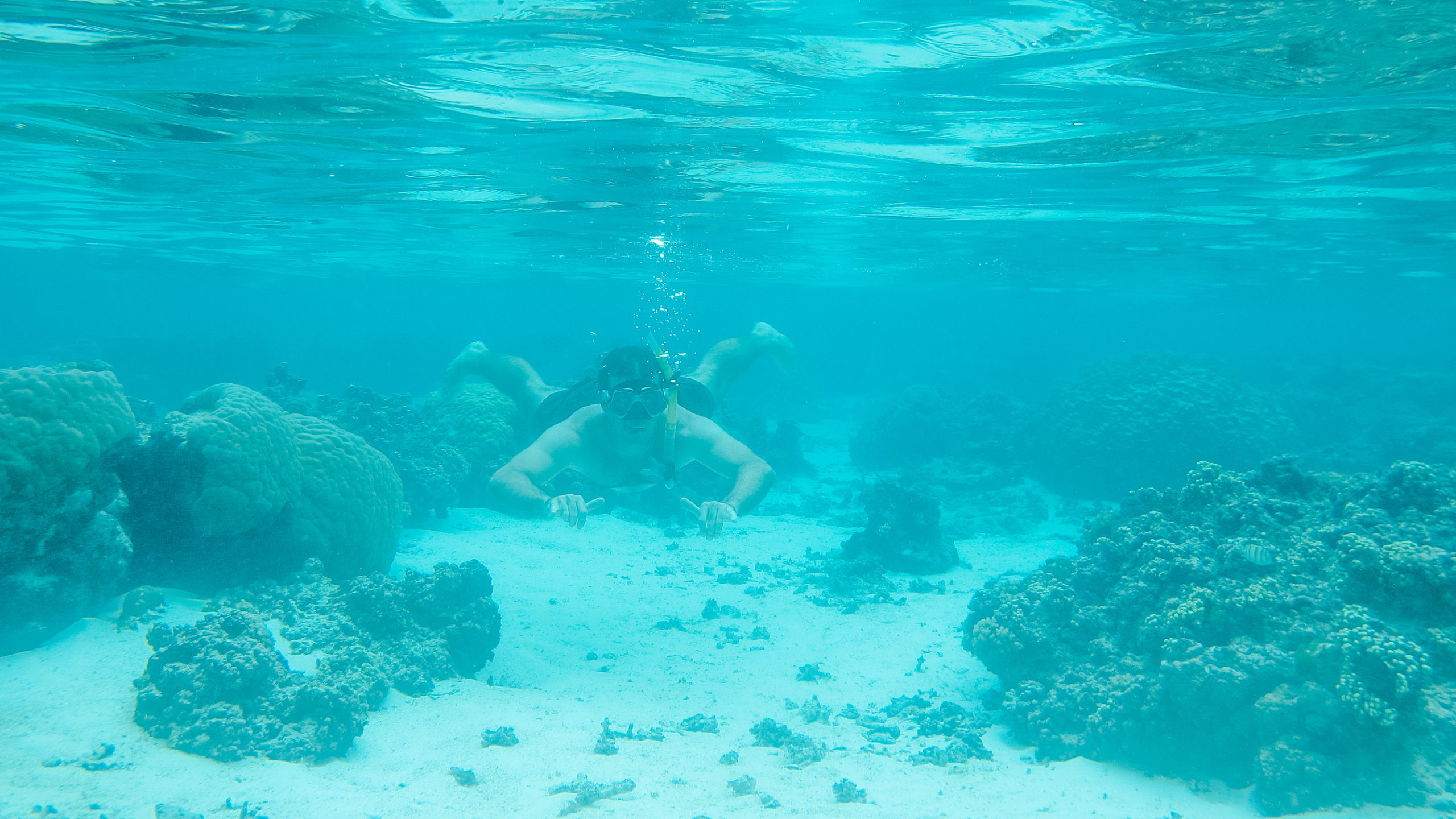 Snorkeling in Ofu | Part 3 - American Samoa - Nerelle.com
