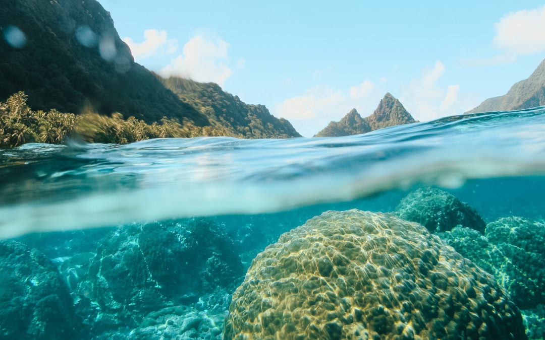 Guest post: Ian's trip to Ofu, Manu`a - Nerelle.com
