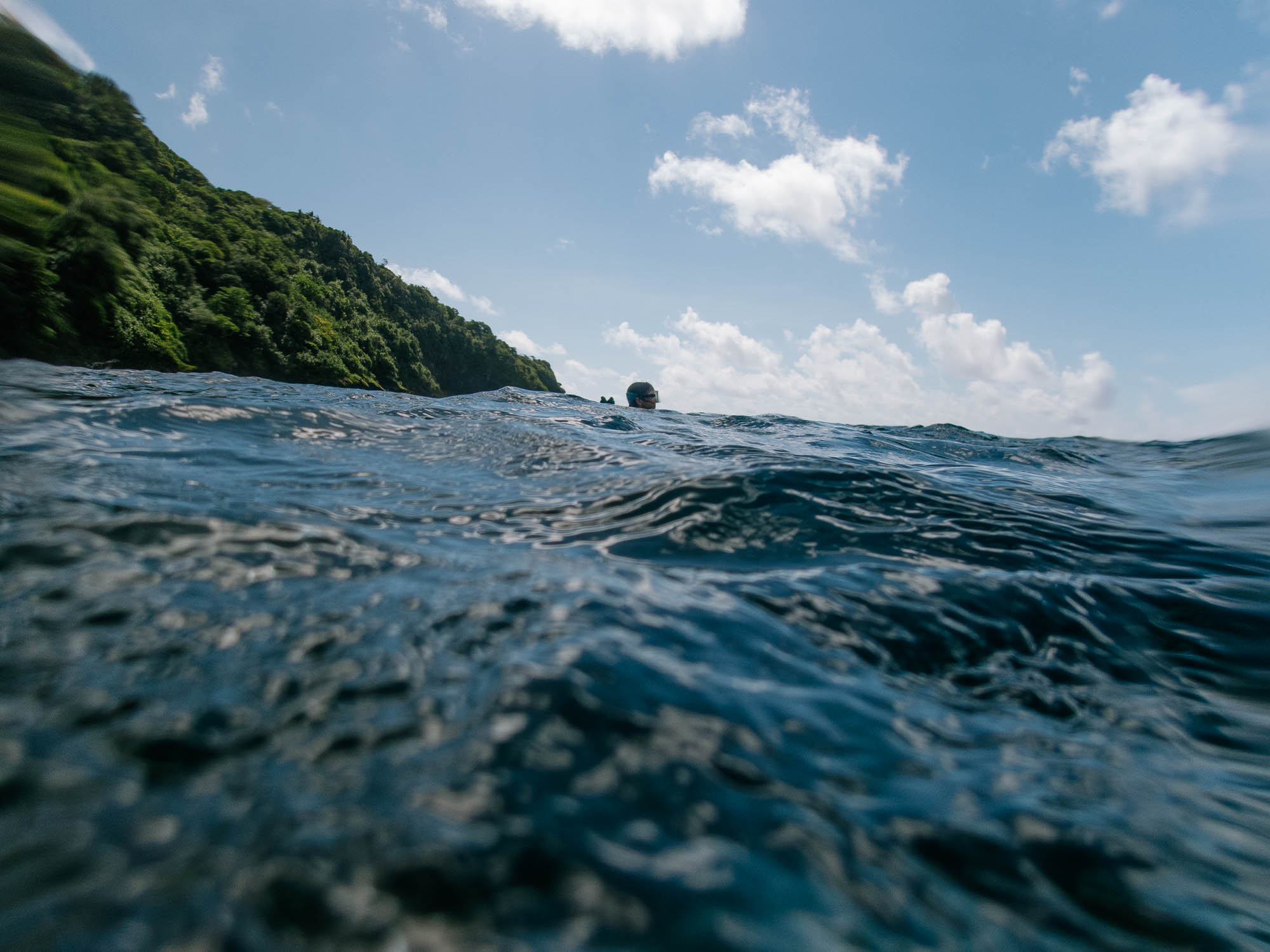 Dive Log: Amalau Bay (Left side) - Nerelle | American Samoa